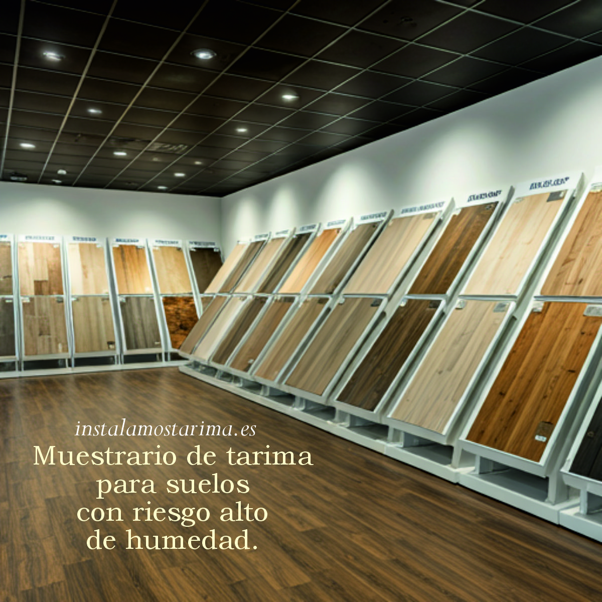 ¿Cómo elegir la tarima resistente a la humedad más adecuada ...